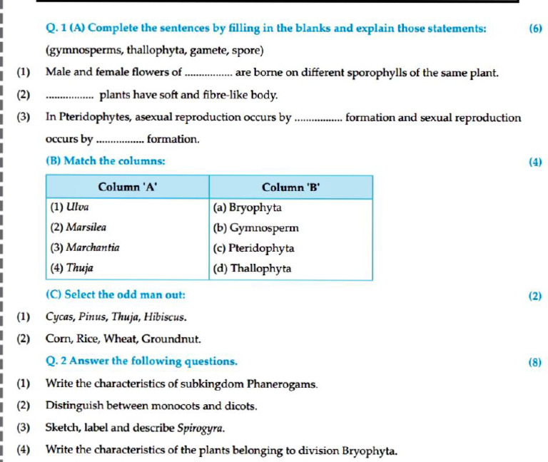 Classification of Plants 9th 20 Marks Test | PDF