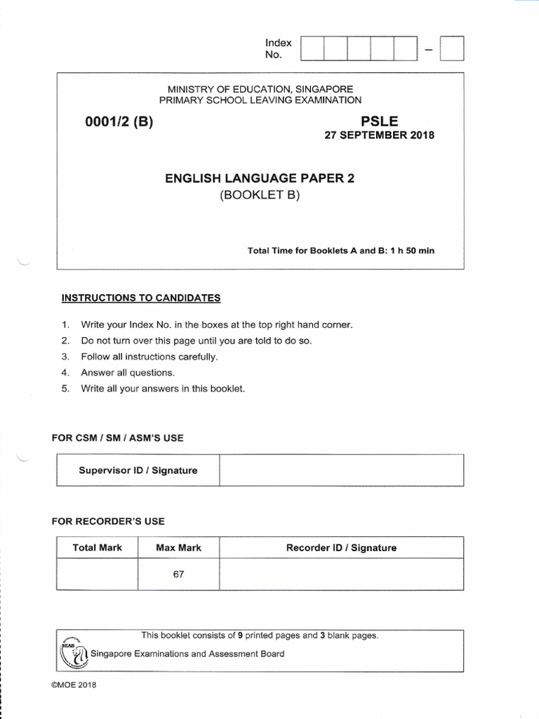 2018 PSLE English Paper 2 Overview | PDF | Giraffe