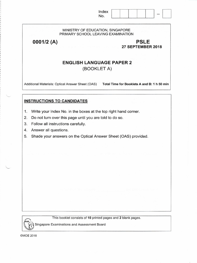 PSLE 2018 English Paper 2 Exam | PDF