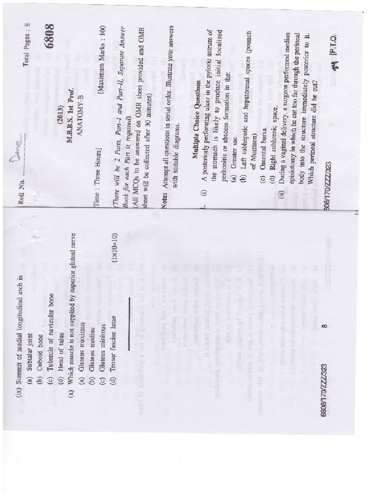 Anatomy 2021 Paper | PDF