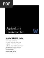 Maize Farming Proposal | PDF | Maize | Agriculture