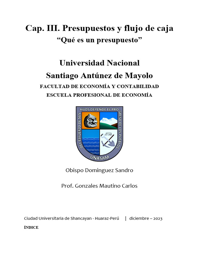 Presupuestos y Flujo de Caja FINAL | PDF | Presupuesto | Tasa interna de retorno