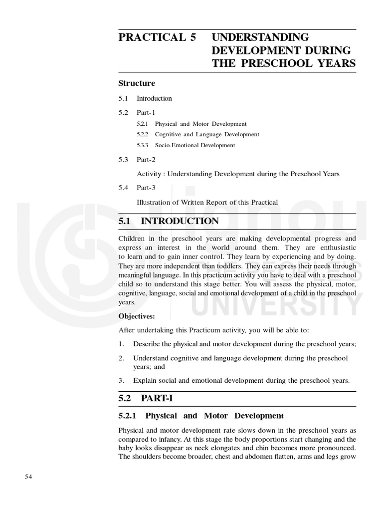 Practical 5 | PDF | Child Development | Preschool
