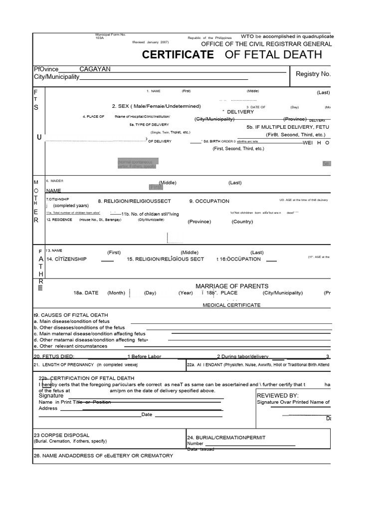 Certificate of FetFADSFASDal Death | PDF | Affidavit | Fetus