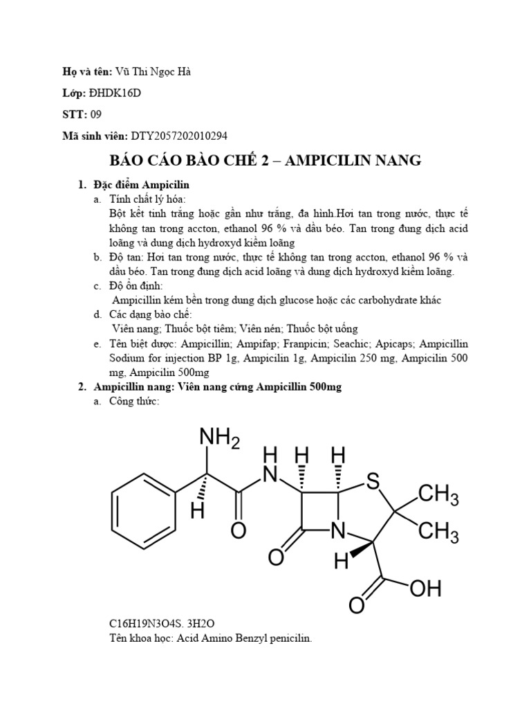 BÁO CÁO BÀO CHẾ 2 | PDF