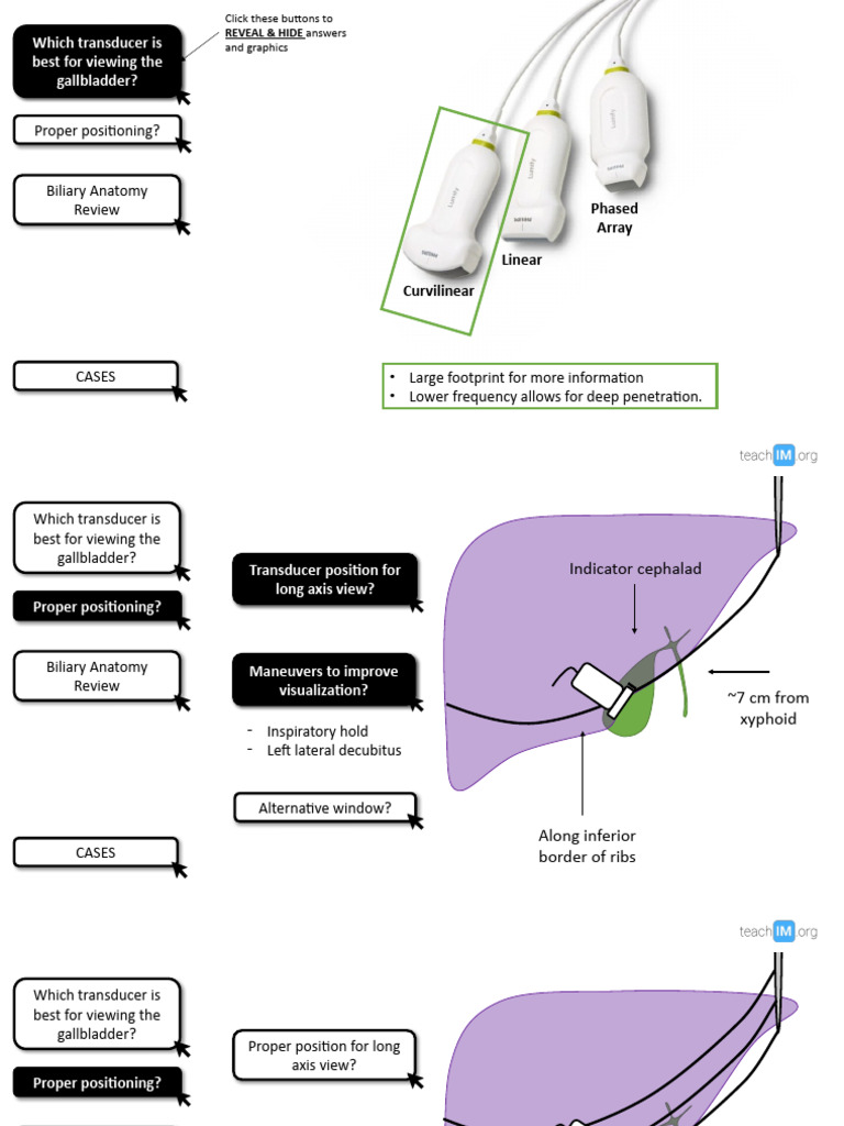 POCUS Gallbladder WKSP | PDF | Gallbladder | Liver