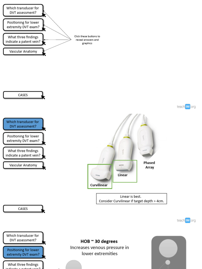 Pocus DVT Teachim | PDF | Vein | Blood Vessel