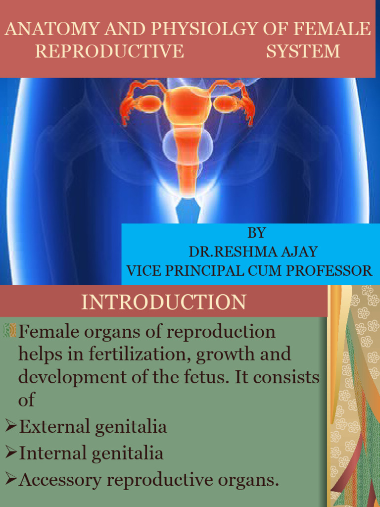 Anatomy and Physiology of Female Reproductive Organ BY DR - RESHMA AJAY ...