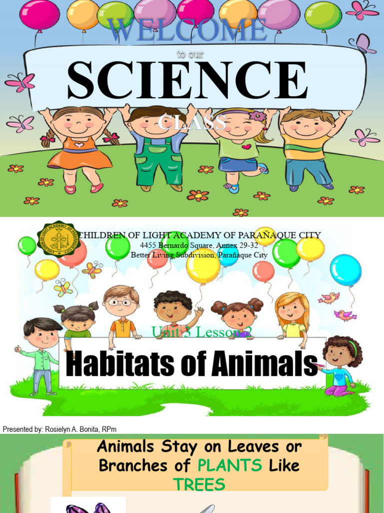 Unit 3 Lesson 2 Habitats of Animals | PDF | Home & Garden | Art
