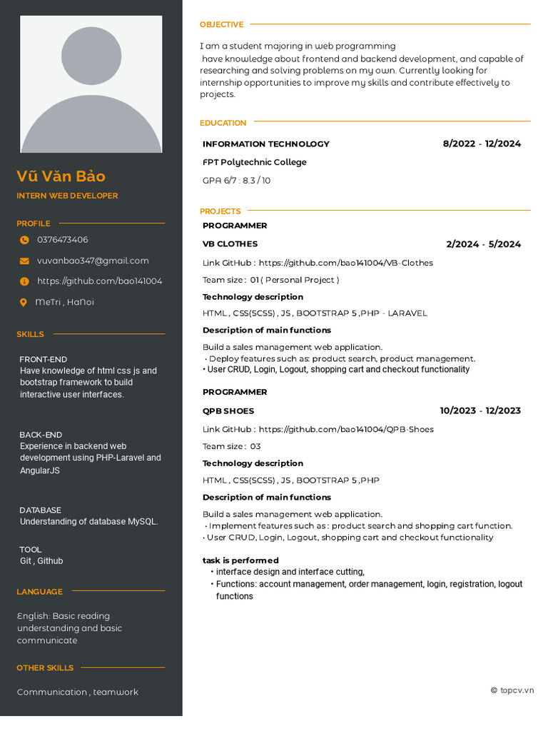 CV Vũ Văn Bảo - baovvCV - InternIT-TopCV.vn | PDF | Web Development | Computing