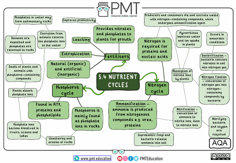 5.4 Nutrient Cycles | PDF | Earth Sciences | Soil Science