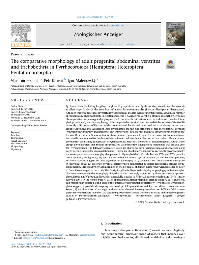Spiracles in Certain Terrestrial Heteroptera (Hemiptera) | PDF ...