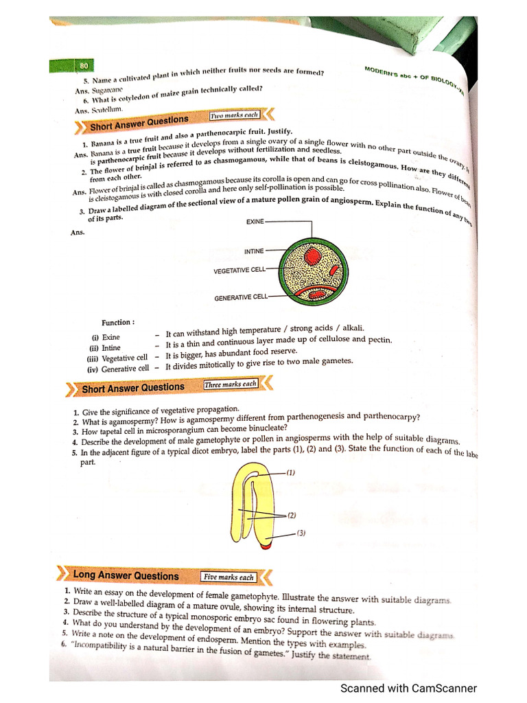 Sexual Reproduction Flowering Plants Questions Pdf
