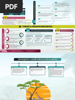 Class 10 History Mind Map All Chapter | PDF | Mahatma Gandhi