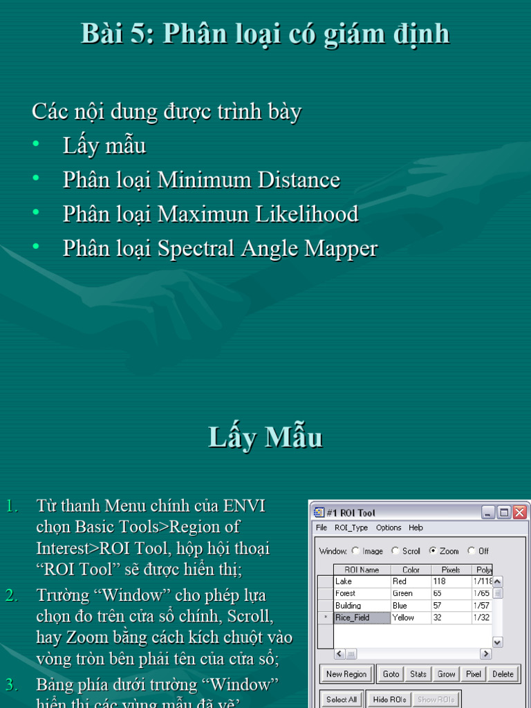 Bai - 5 - Phan Loai Co Giam Dinh | PDF