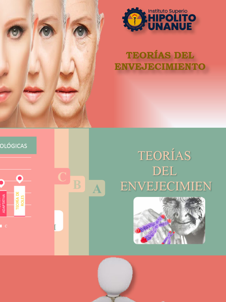 3ra Clase I (Teorías Del Envejecimiento | PDF | Envejecimiento | Sistema inmune