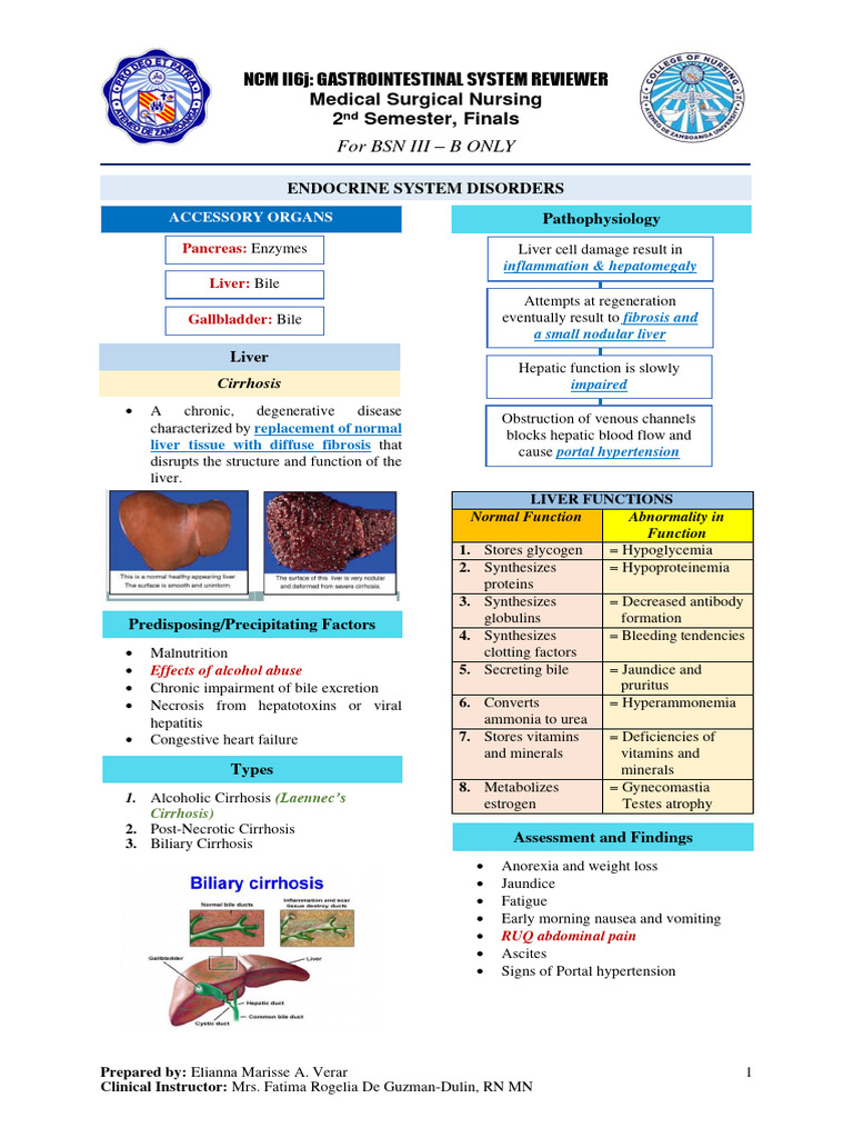 NCM116j Reviewer Endocrine UPDATED | PDF | Pancreas | Hormone