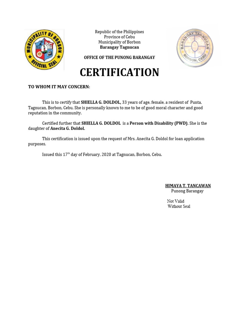 PWD Certification | PDF | Social Psychology | Disability