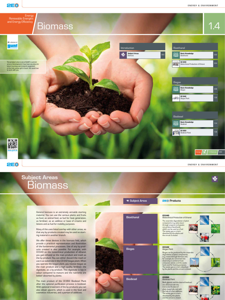 Brochure Biomass EN | PDF | Biofuel | Biogas