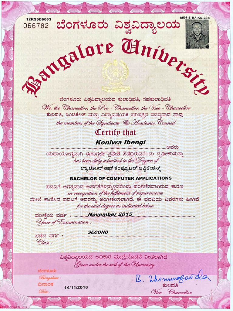 Diplome Universitaire | PDF