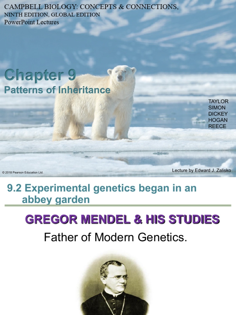 Genetics 1 Pdf Dominance Genetics Allele