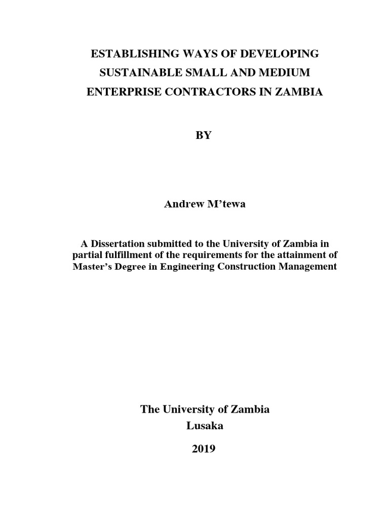 Elizabeth Boos Study On Prpject MGT Skills Inlusaka | PDF | Small And ...