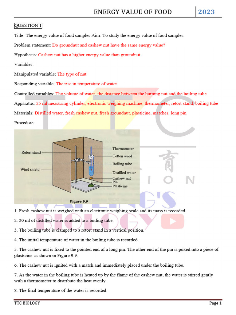 ENERGY VALUE EXPERIMENT | PDF | Temperature | Water