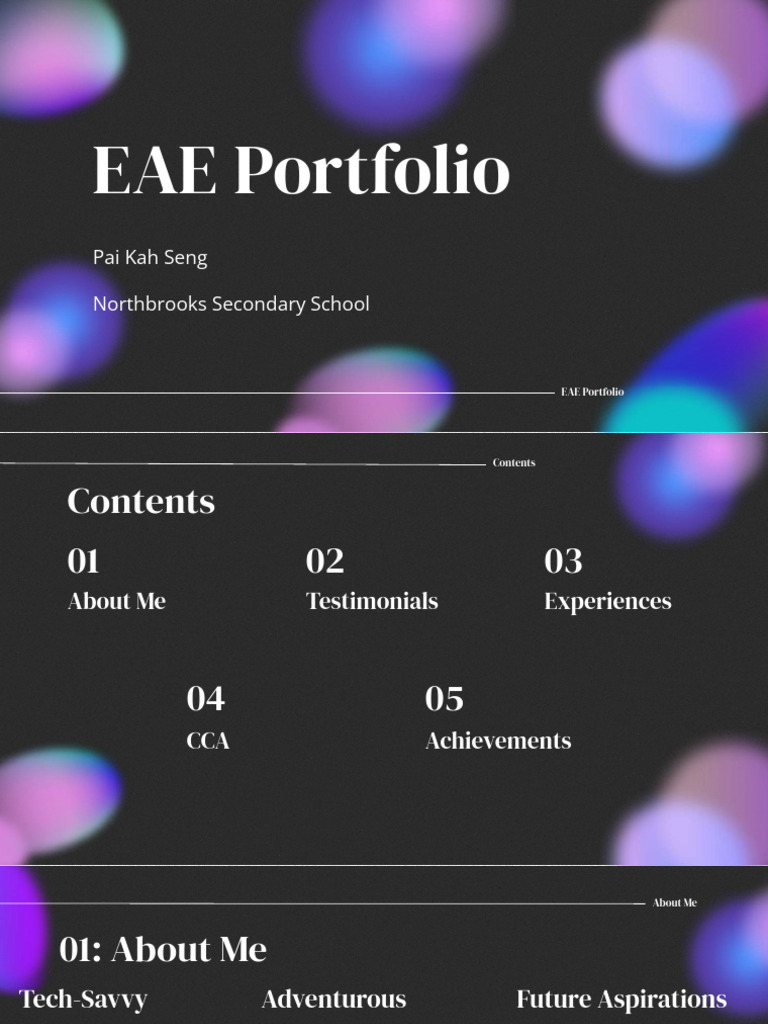 EAE Portfolio | PDF | Computer Programming | Computer Science
