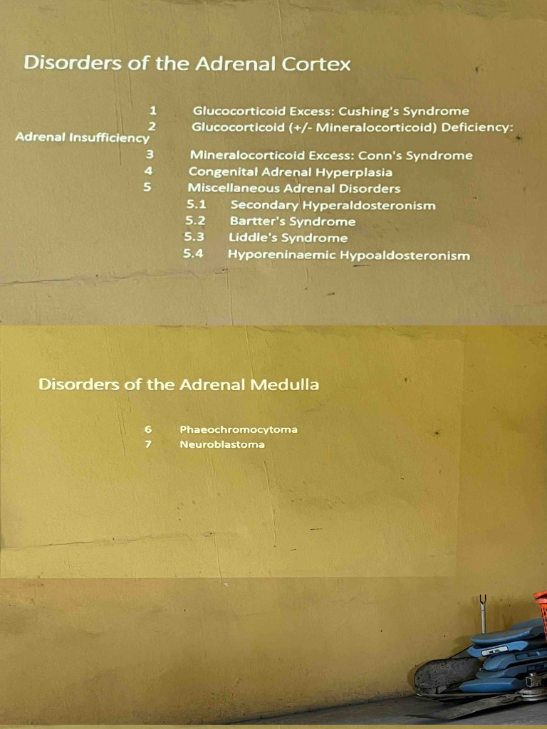 Adrenal Axis | PDF