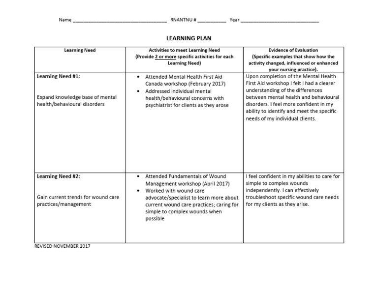 LEARNING PLAN Example 1 for Website 1 | PDF