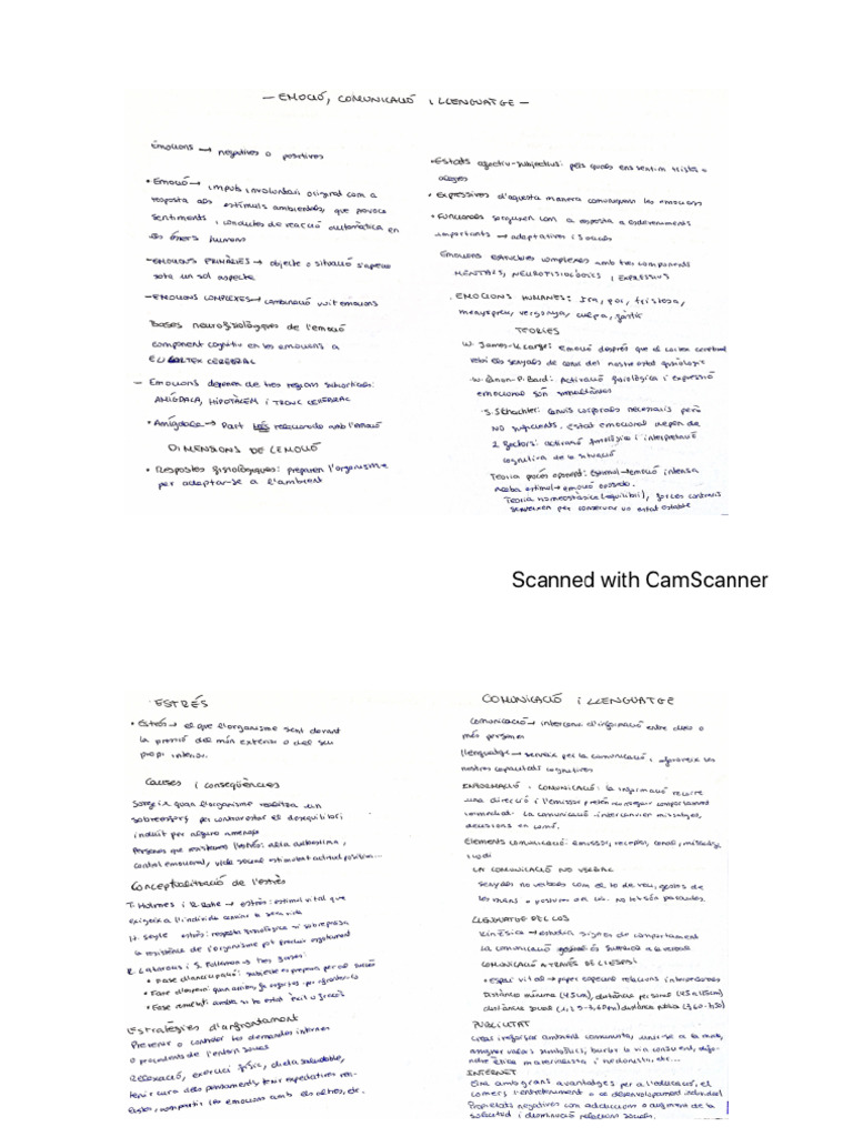 Marta Palmero - Esquema Resum | PDF