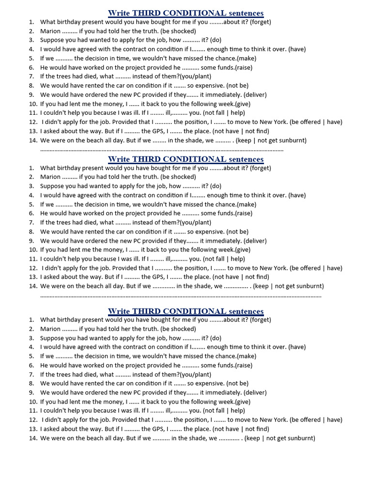 Third Conditional Sentence Exercises | PDF