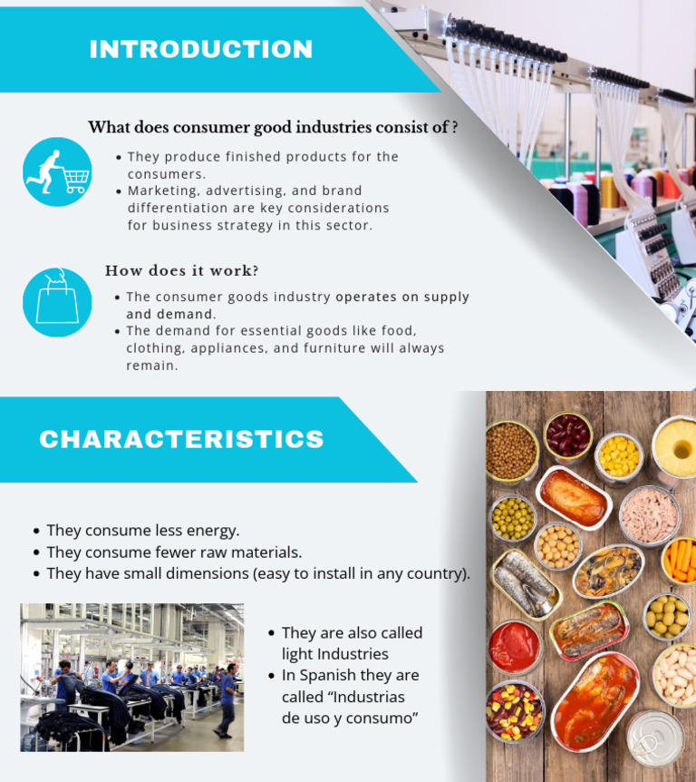 Overview of Consumer Goods Industry | PDF | Business | Finance & Money ...