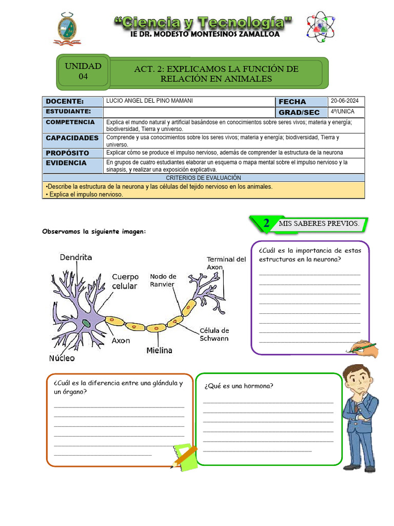 4º Act 2-Cyt-Und 4 - Sem 1 | PDF | Axon | Neurona