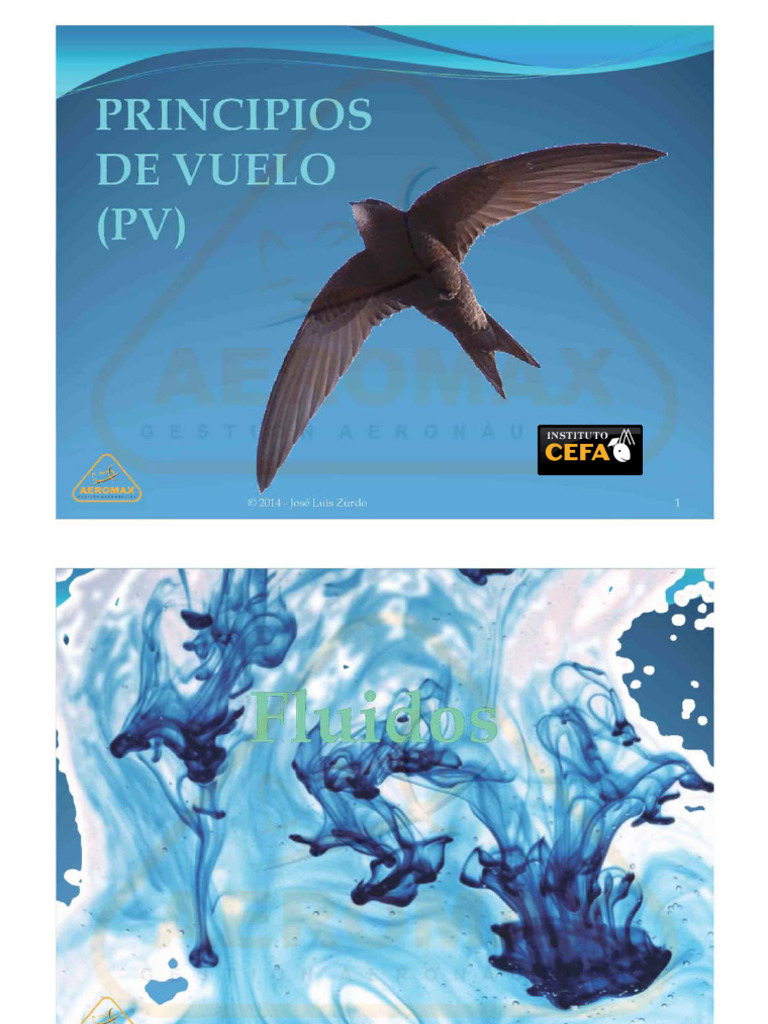 PRINCIPIOS DE VUELO | PDF