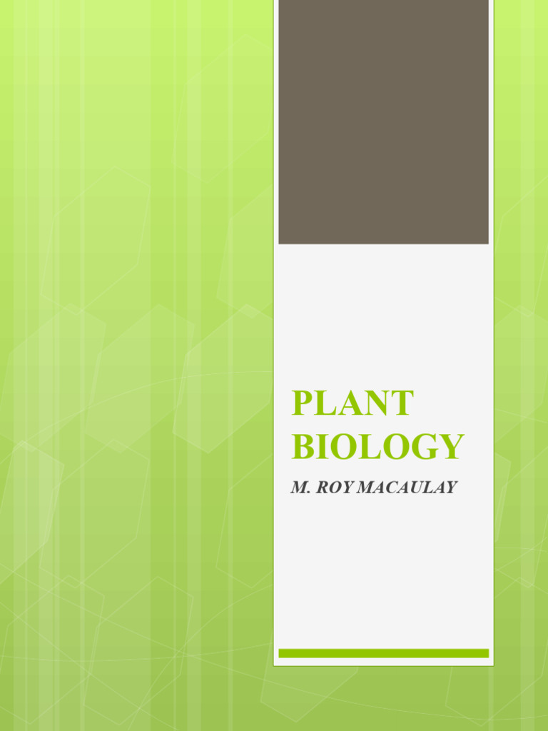 Premed I Plant Biology Notes 2021 I Pdf Leaf Plant Stem