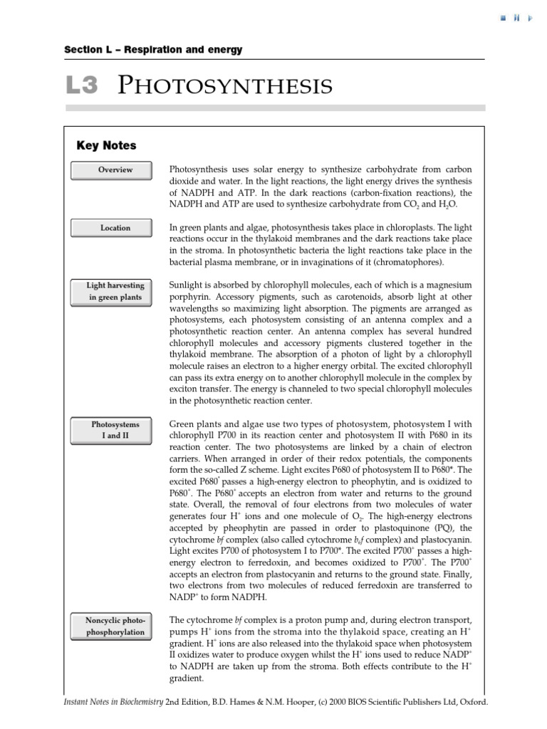 Photosynthesis: Light Reactions Overview | PDF | Photosynthesis ...