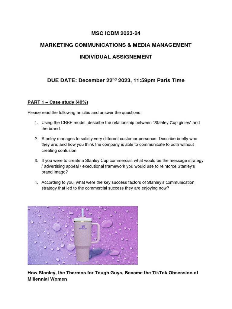 MSC ICDM 2023 - Individual Assignment | PDF | Brand