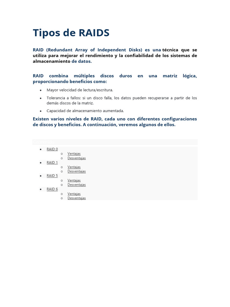 Tipos de RAID | PDF | Almacenamiento de datos de la computadora | Informática