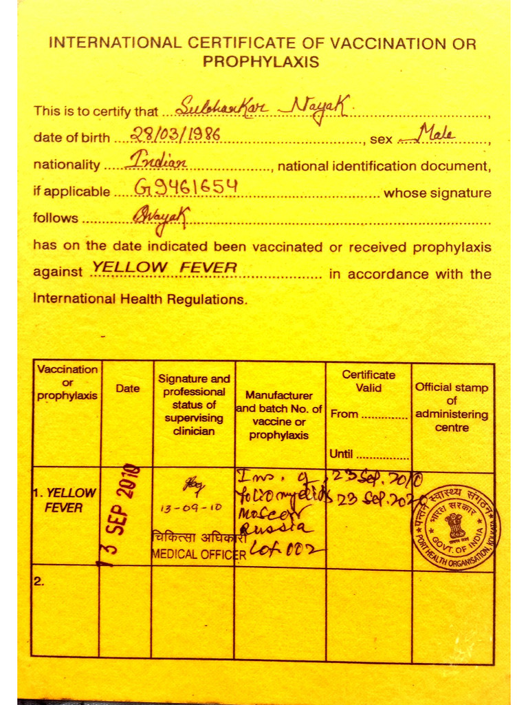 Yellow Fever | PDF