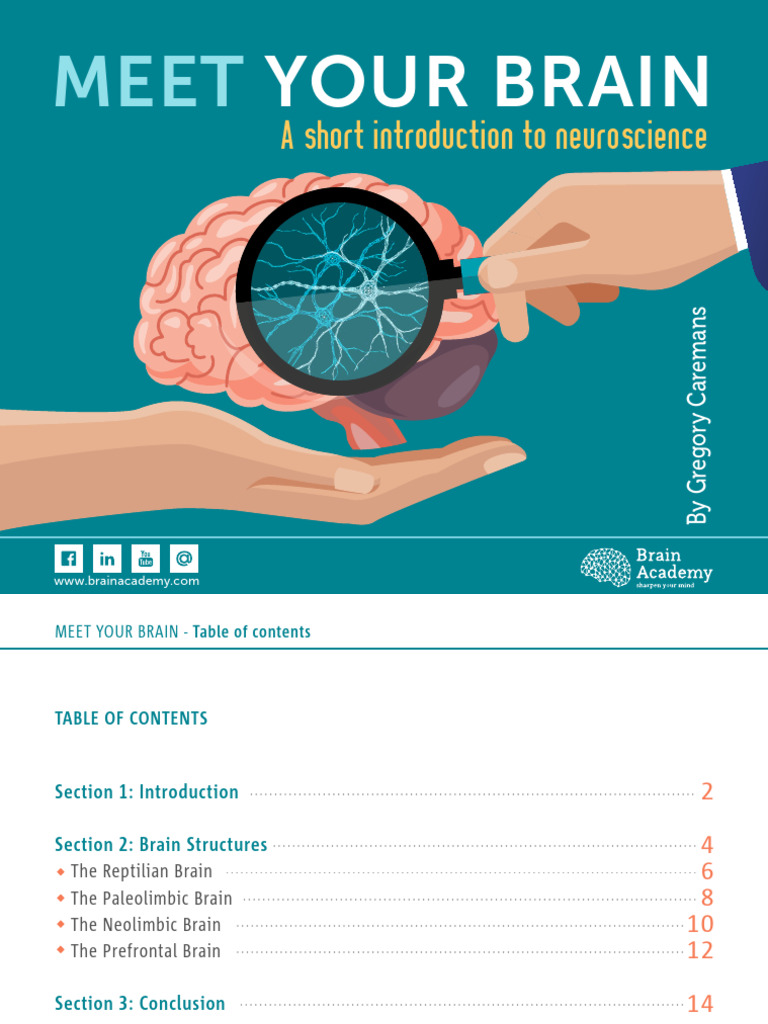 Meet Your Brain, Gregory Caremans, Brain Academy, Udemy | PDF ...