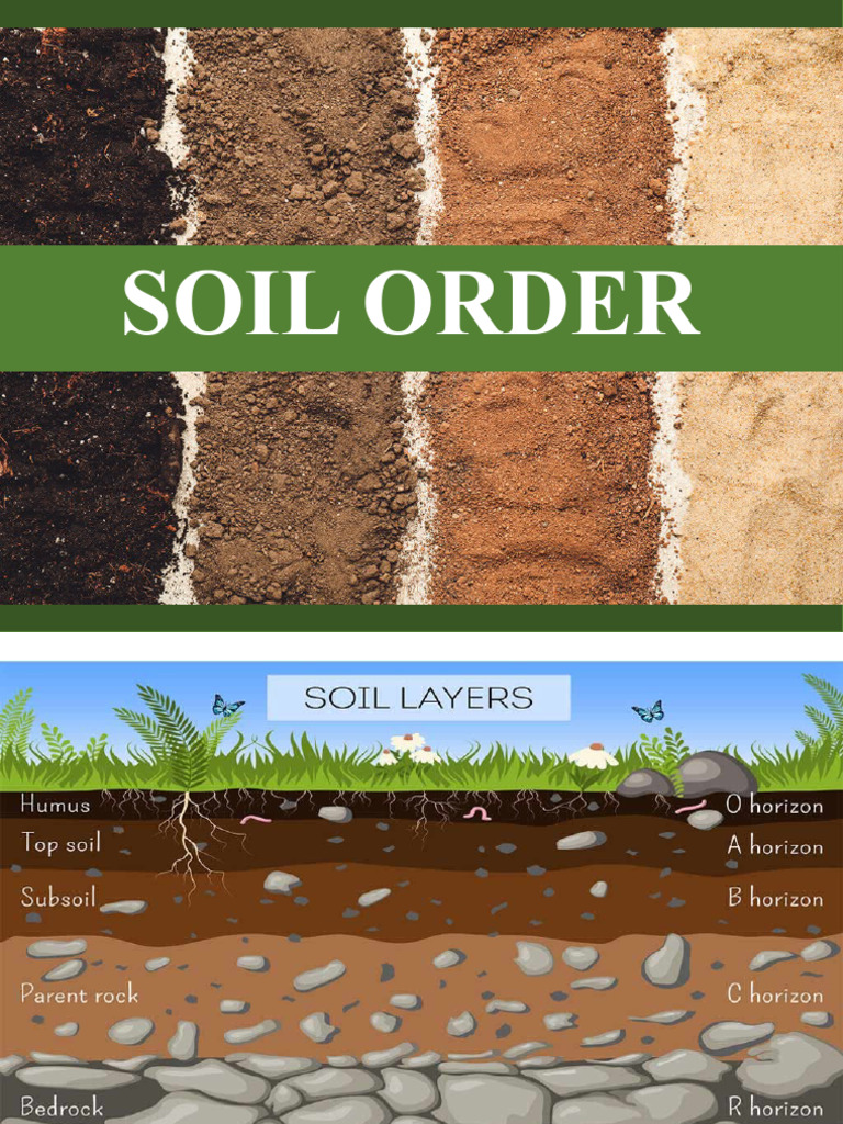 Soil Orders | PDF | Soil | Physical Geography