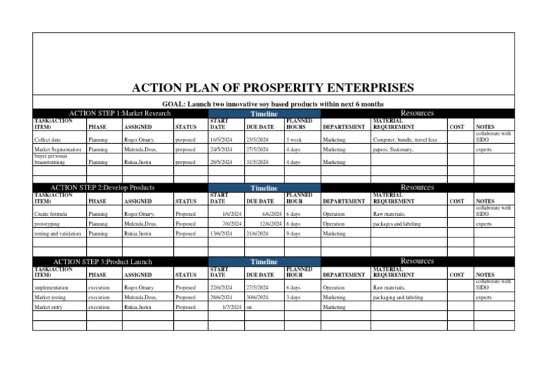 Action Plan of Prosperity Enterprises Print | PDF