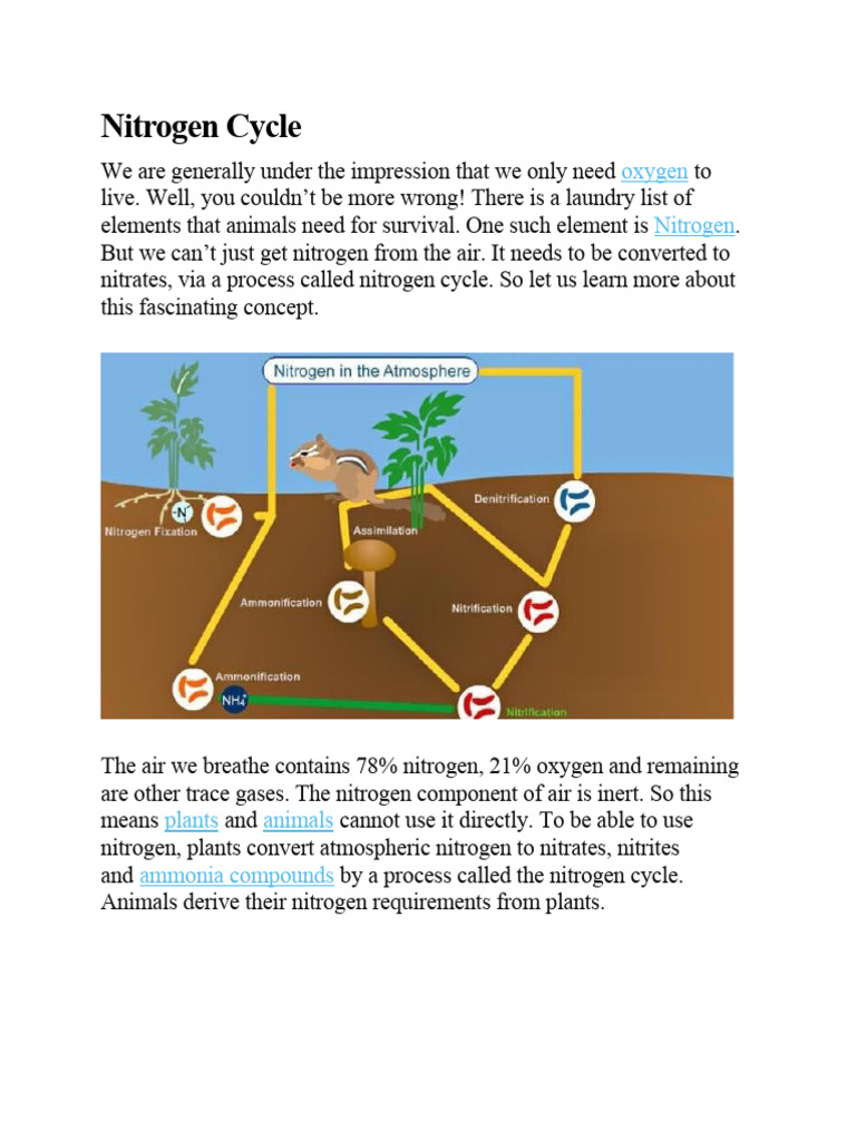 Nitrogen Cycle | Download Free PDF | Nitrogen | Biology