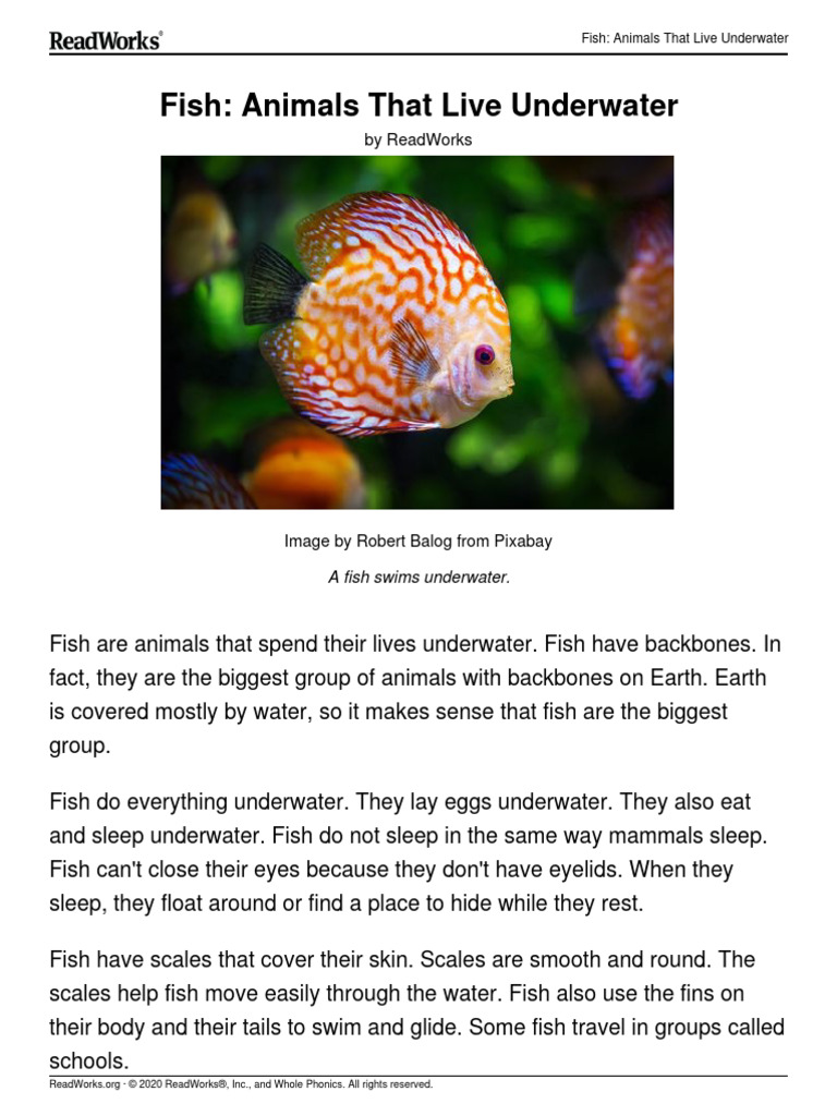 Fish Animals That Live Underwater | PDF | Fish | Water