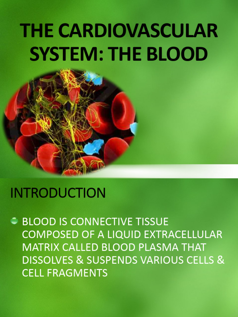 Blood | PDF | Coagulation | Blood Type