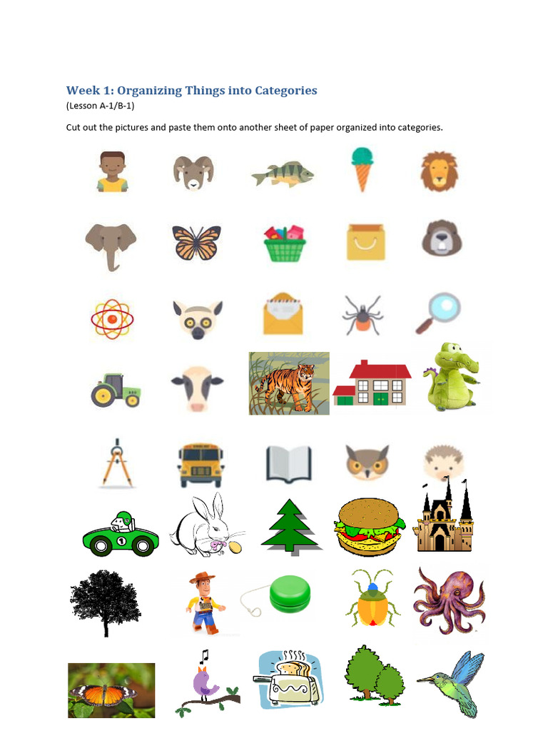 BFSU Notebook Pages Vol 1 | PDF | Atmosphere Of Earth | Seed