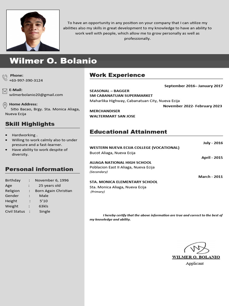 Wilmer_Bolanio-Resume | PDF