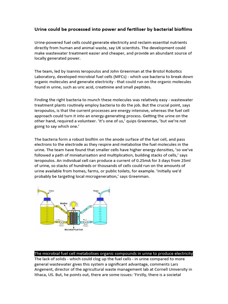 Urine Could Be Processed Into Power and Fertiliser | PDF | Bacteria ...