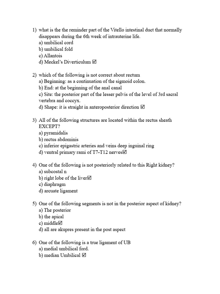 Anatomy Final Exam | PDF | Common Carotid Artery | Anatomy